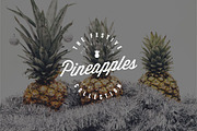 The Festive Pineapples Collection, a Holiday Photo by Pineapple Shop