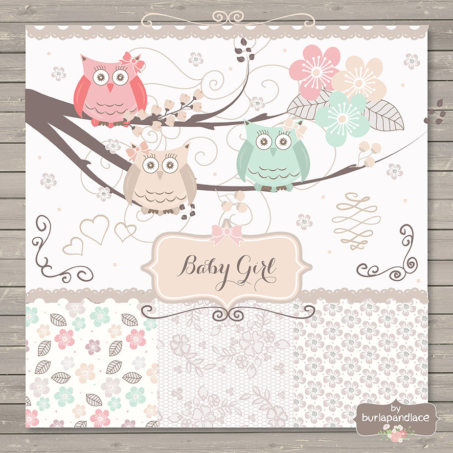Baby girl/baby owl clipart/invitatio, an Illustration by burlapandlace