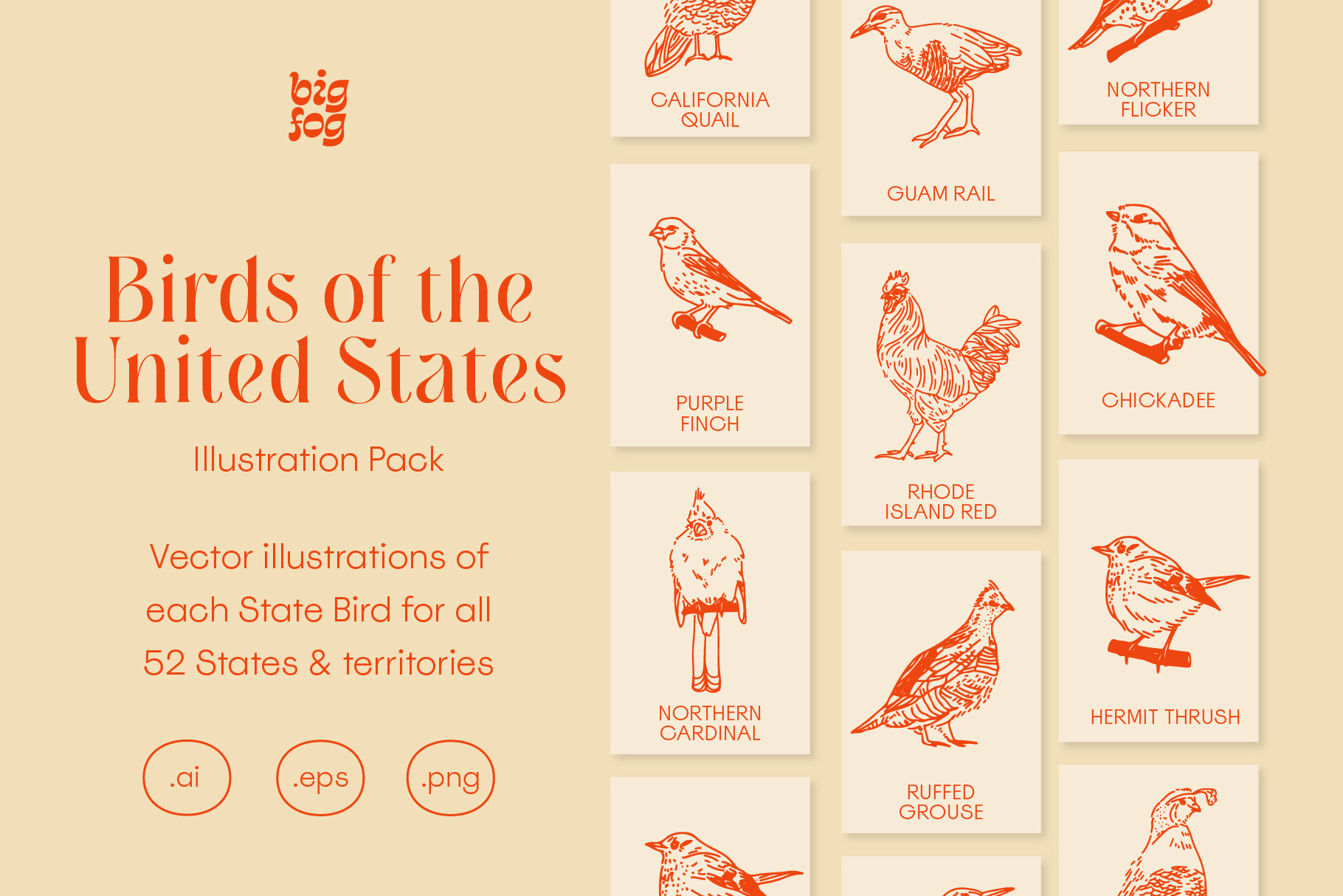 US State Birds Illustration Pack