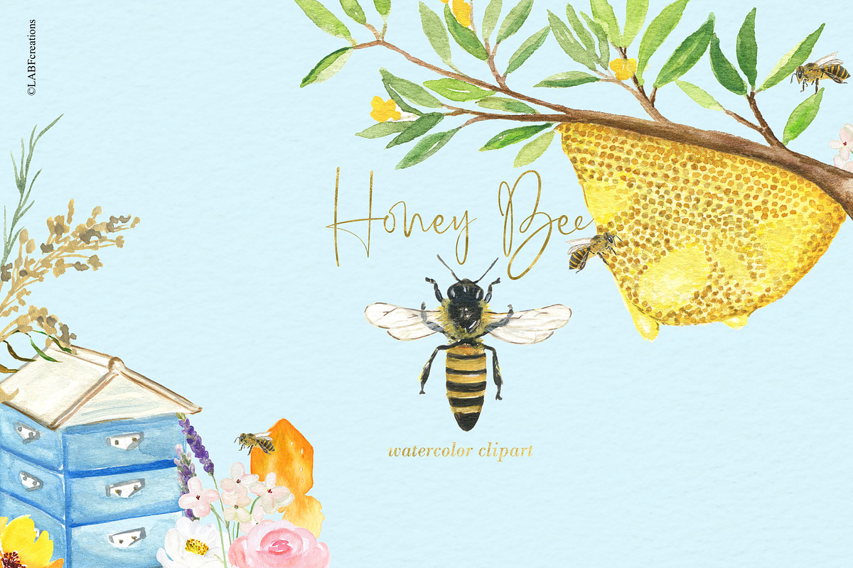Honey Bee Watercolor, a Graphic by LABFcreations
