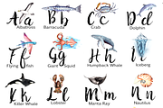 Watercolor Ocean Alphabet Poster, an Animal Illustration by Tati Bordiu ...