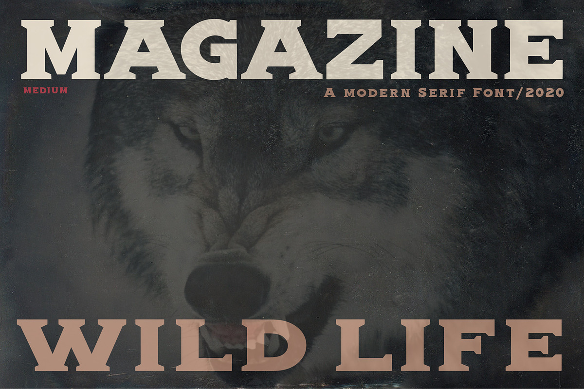 Alpha wolf - Serif font, a Serif Font by Artistic & Unique