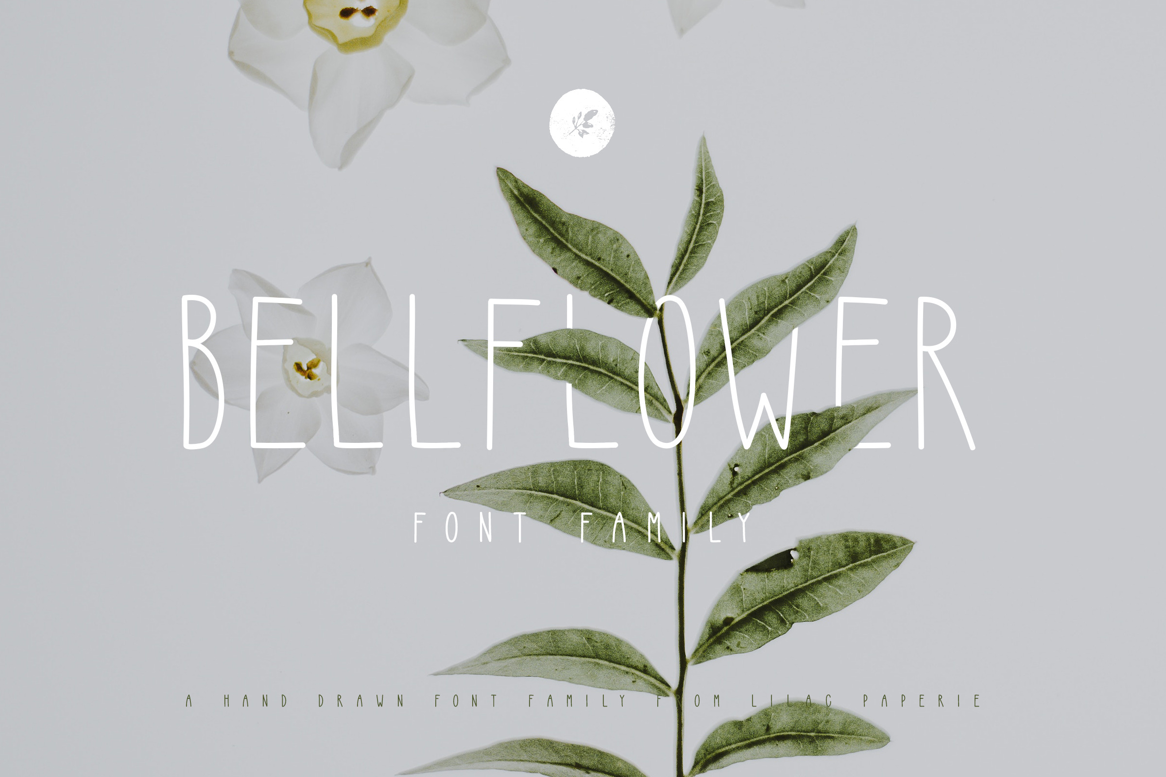 Bellflower Font, a Sans Serif Font by Lilac Paperie