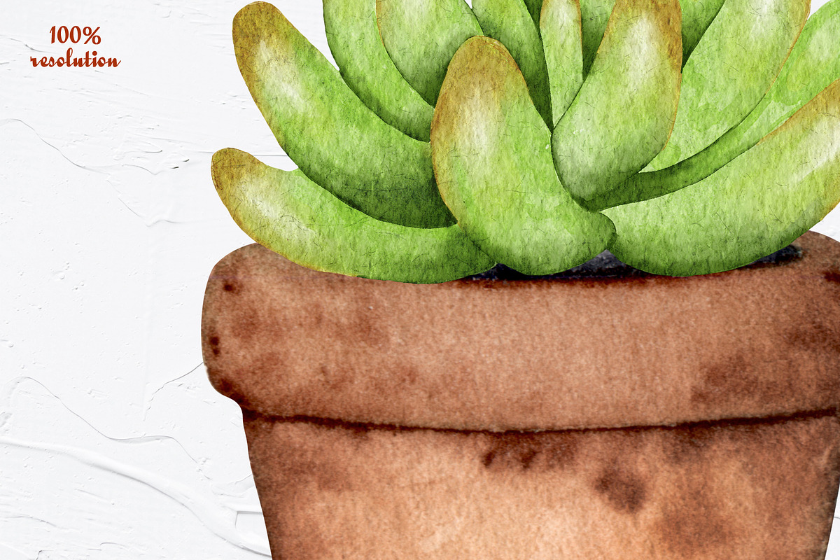 Cactus Watercolor Clipart. Succulent, an Object Graphic by BarvArt ...