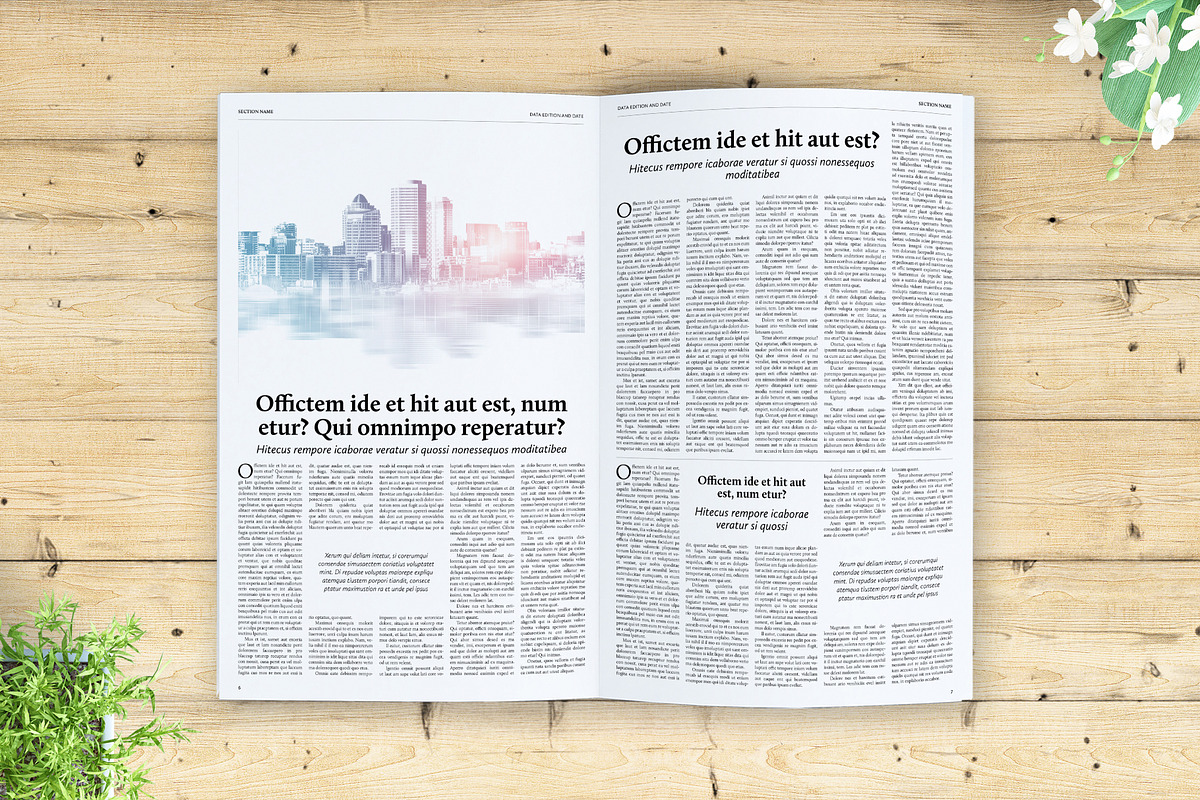 Old and Classic Tabloid Newspaper, a Magazine Template by McLittle Stock