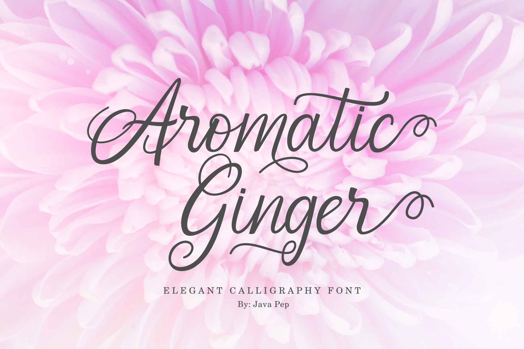 Aromatic Ginger, a Script Font by Java pep