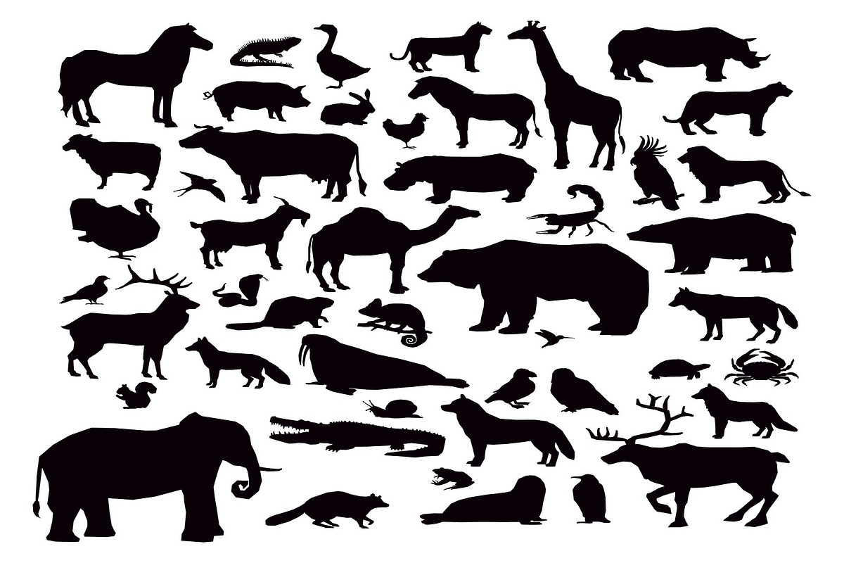 Zoo Animals SVG Bundle