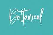 Bottanical Handwritten Font, a Handwritten Font by NTC Graphic ...