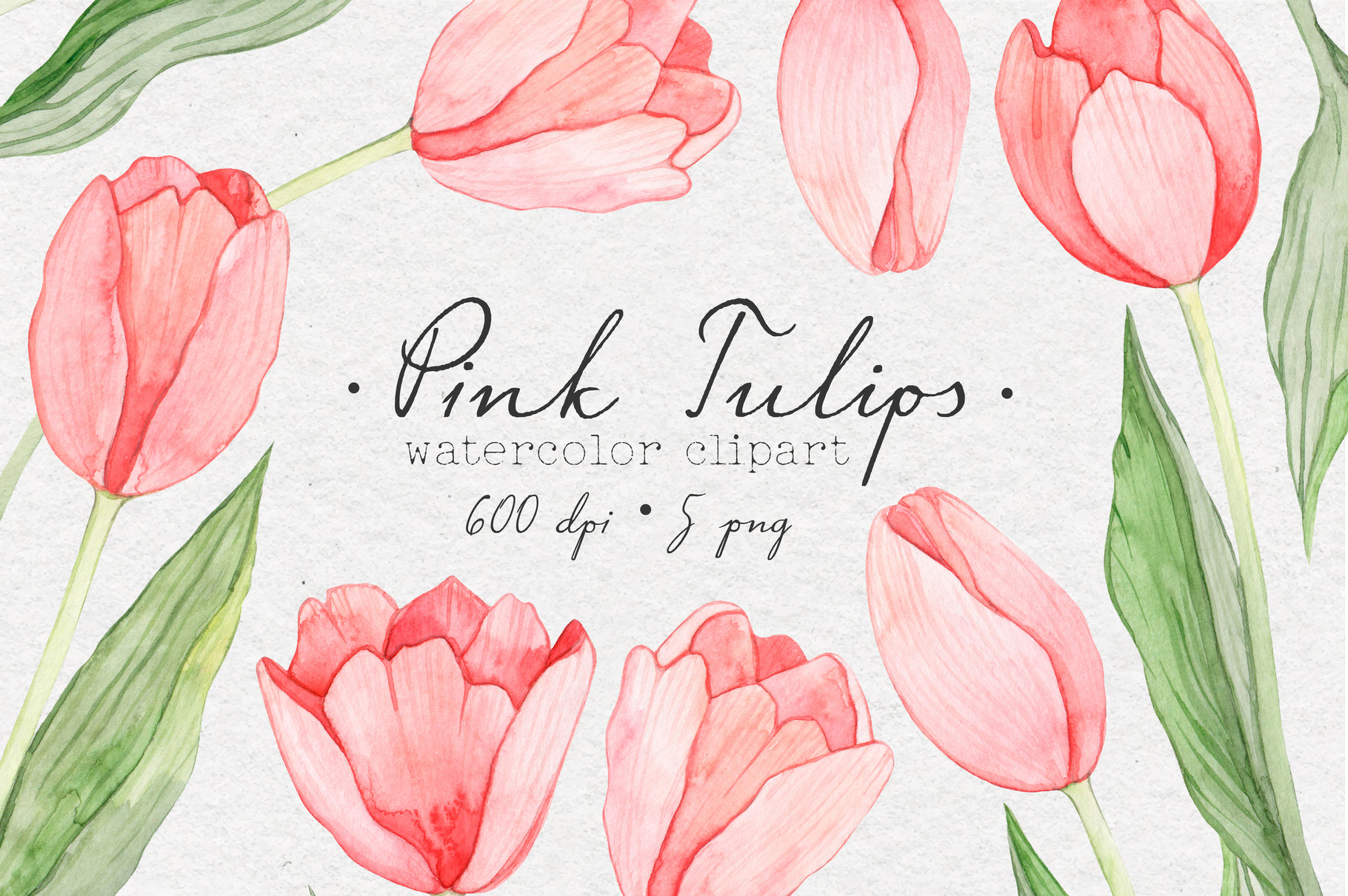 Watercolor Pink Tulips Clipart, an Illustration by MilanaDesignShop