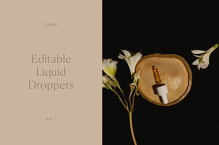 Editable Liquid Droppers No. 2, an Object Graphic by Copal