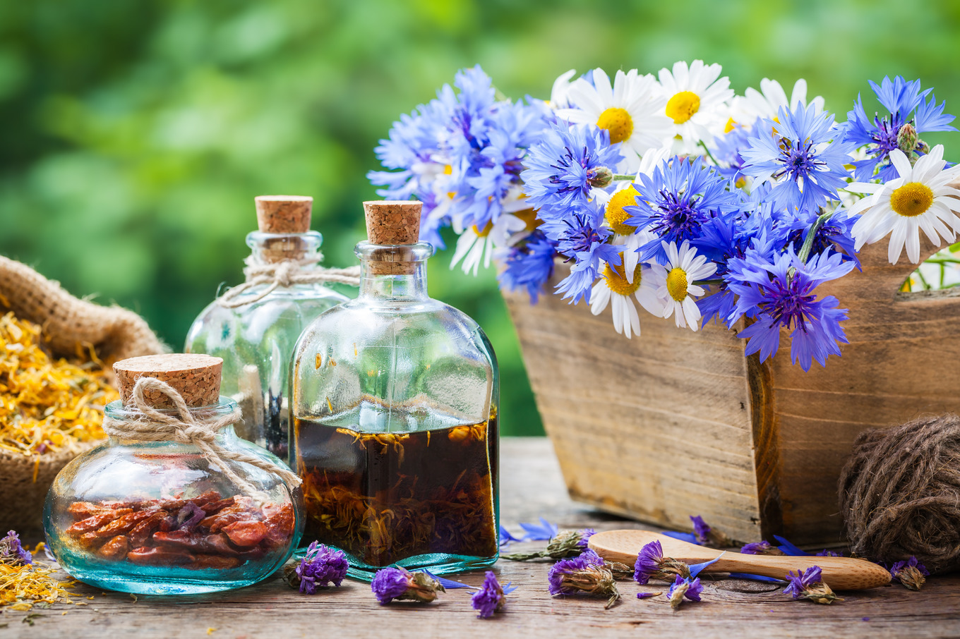 Bottles of tincture, healthy herbs | Health & Medical Stock Photos ...