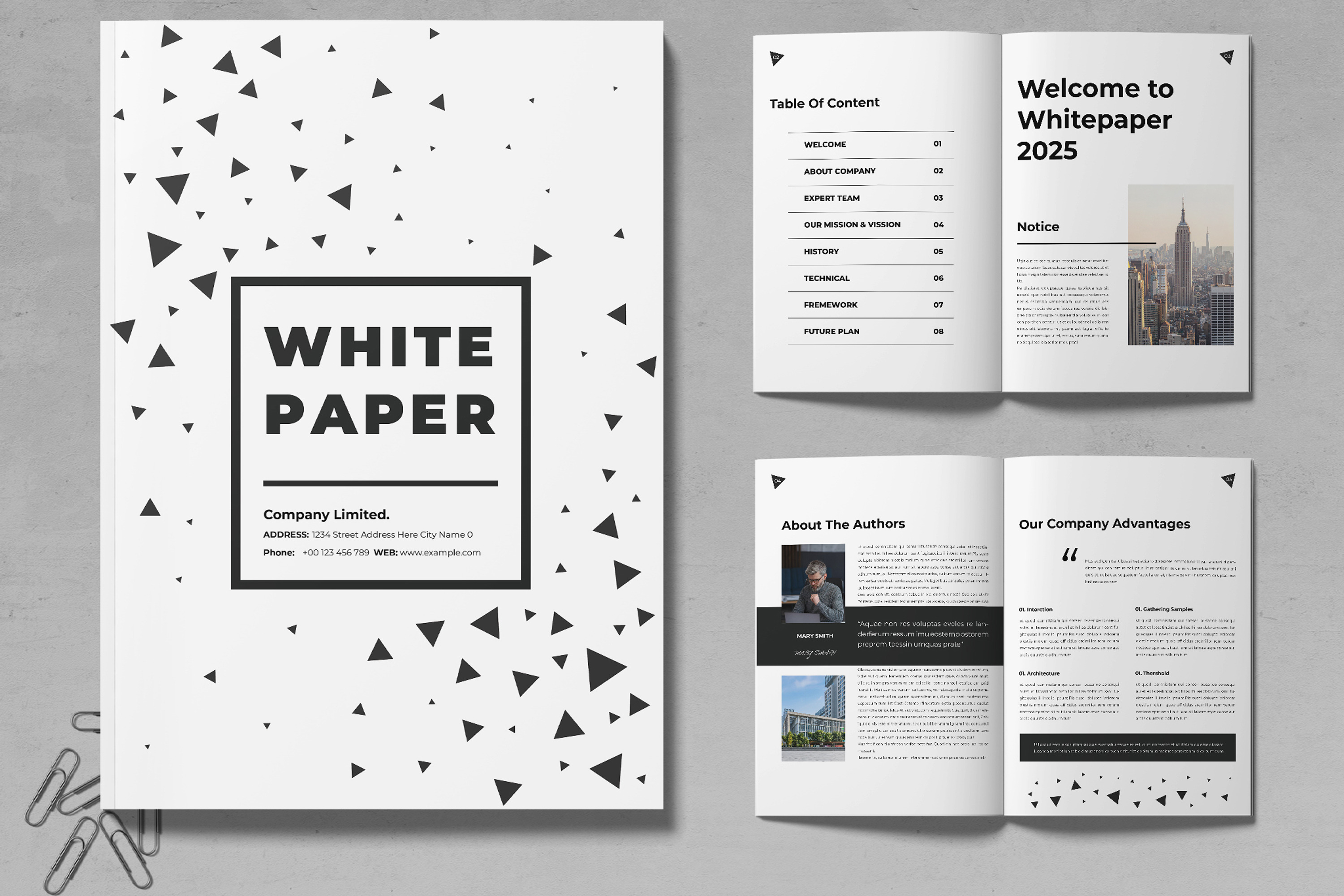 White Paper Layout Design