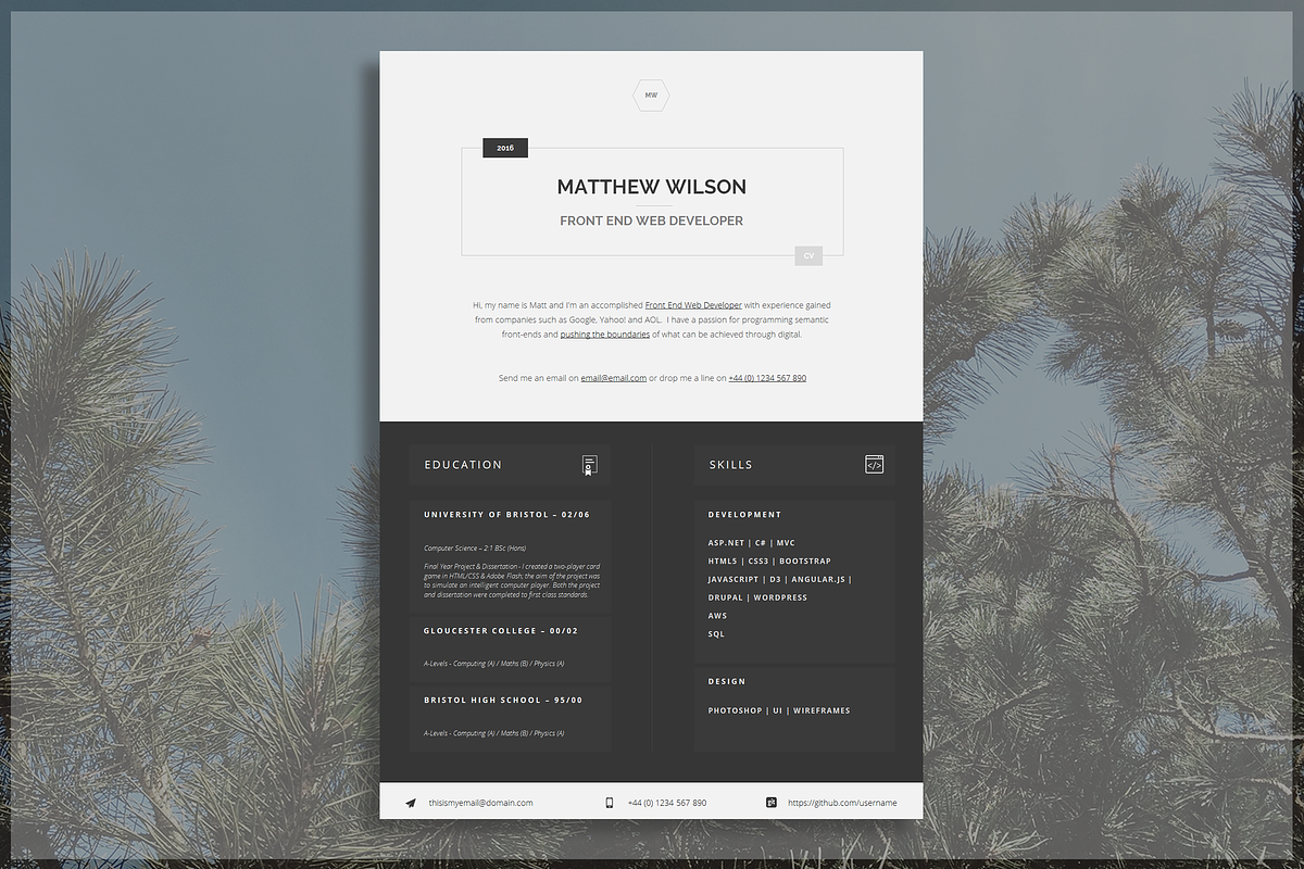 Web Developer CV / Technical Resume, a Resume Template by introDuice ...