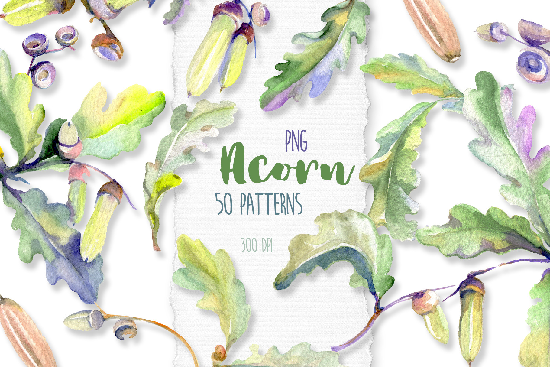 Acorn Watercolor png, an Illustration by WatercolorPNG.com