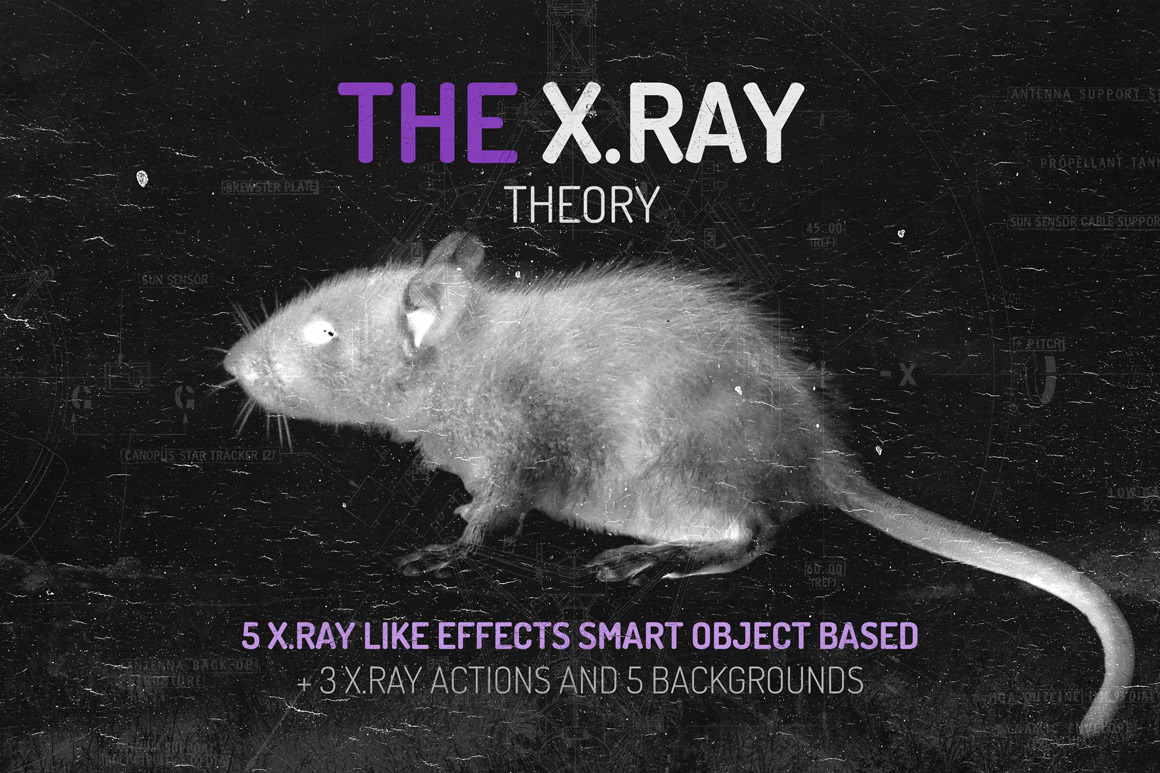 The X.RAY Theory, a Texture Graphic by DesignSomething