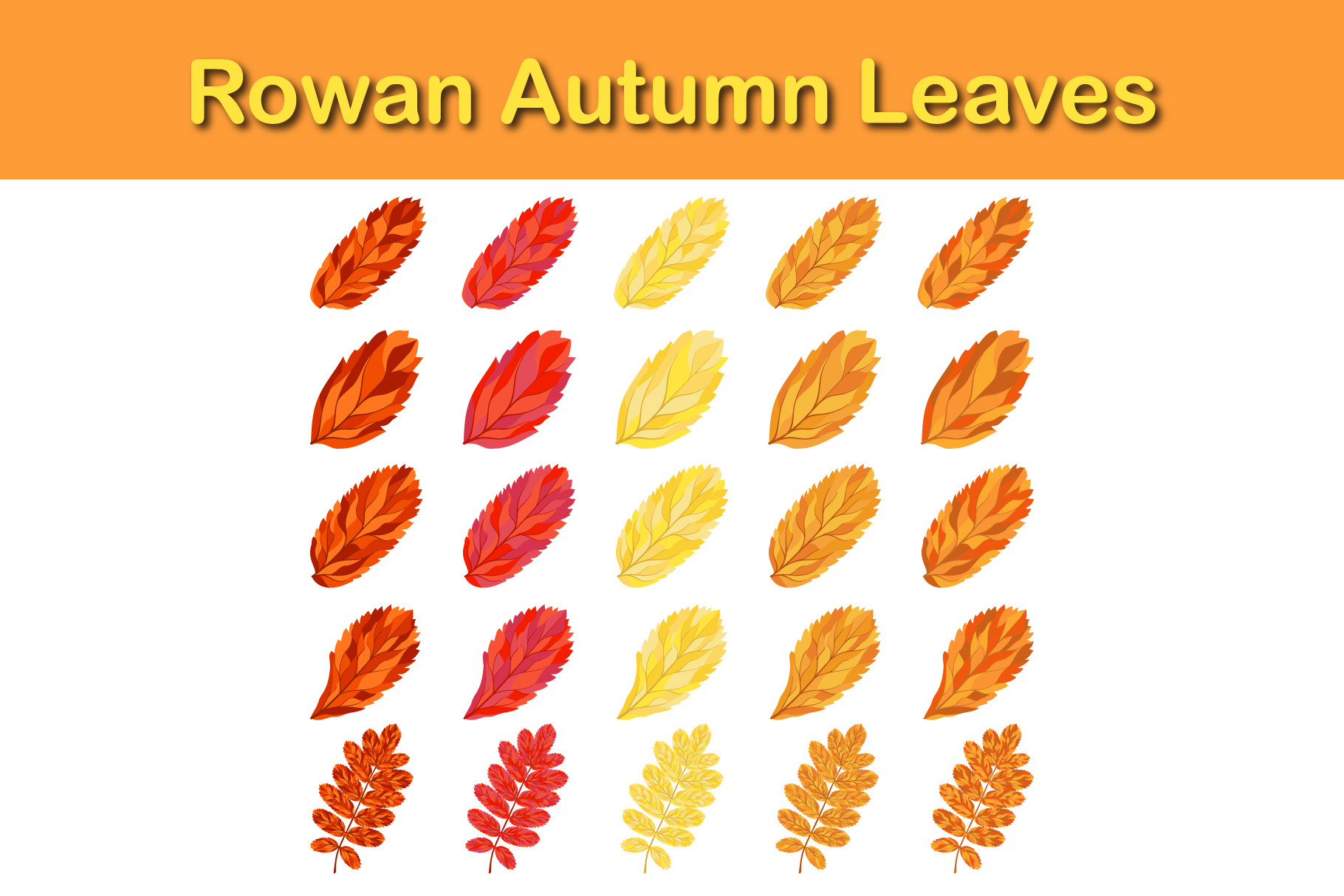 Autumn Rowan Leaf, an Icon by Pavel Vectors