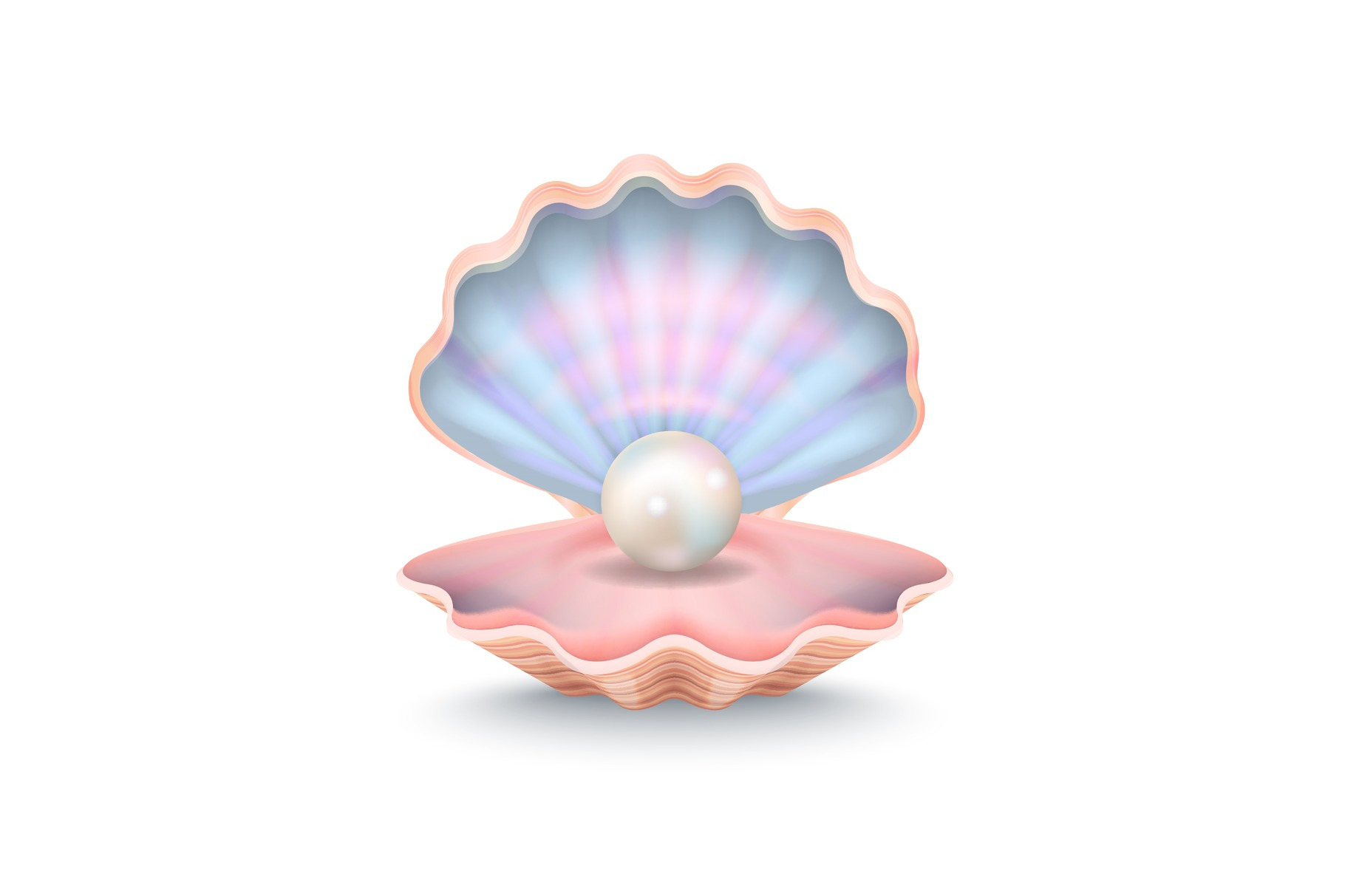 Closeup of Pearl and Shell Vector, a Decorative Illustration by robuart ...