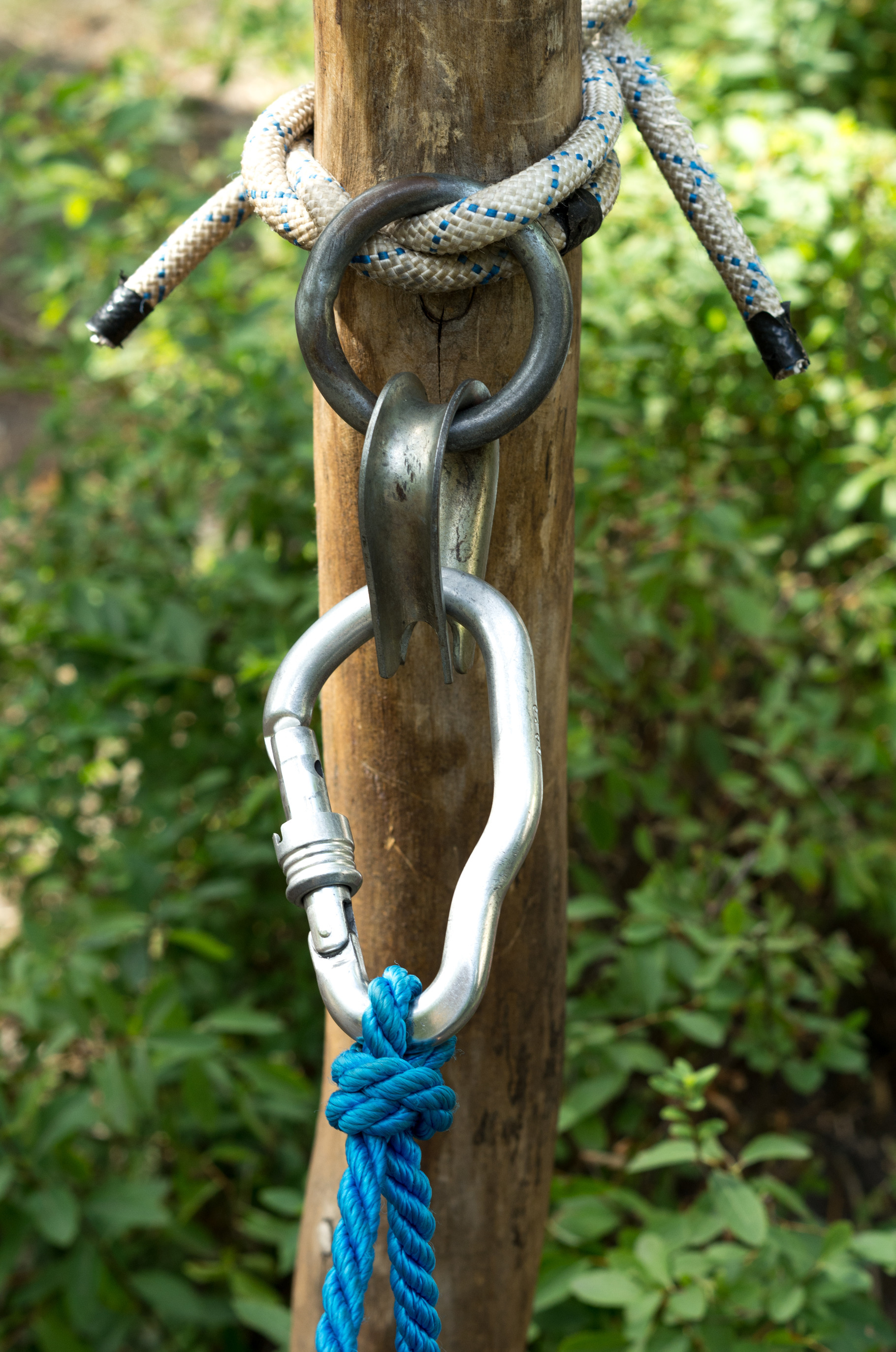 Drag the tree. Pull the rope., a Sports & Recreation Photo by ...
