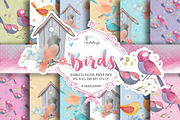 Birds digital paper pack, a Pattern Graphic by designloverstudio