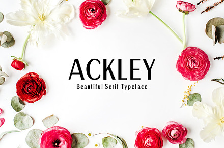 Raanan Classic Sans Serif Family, a Sans Serif Font by Creativetacos