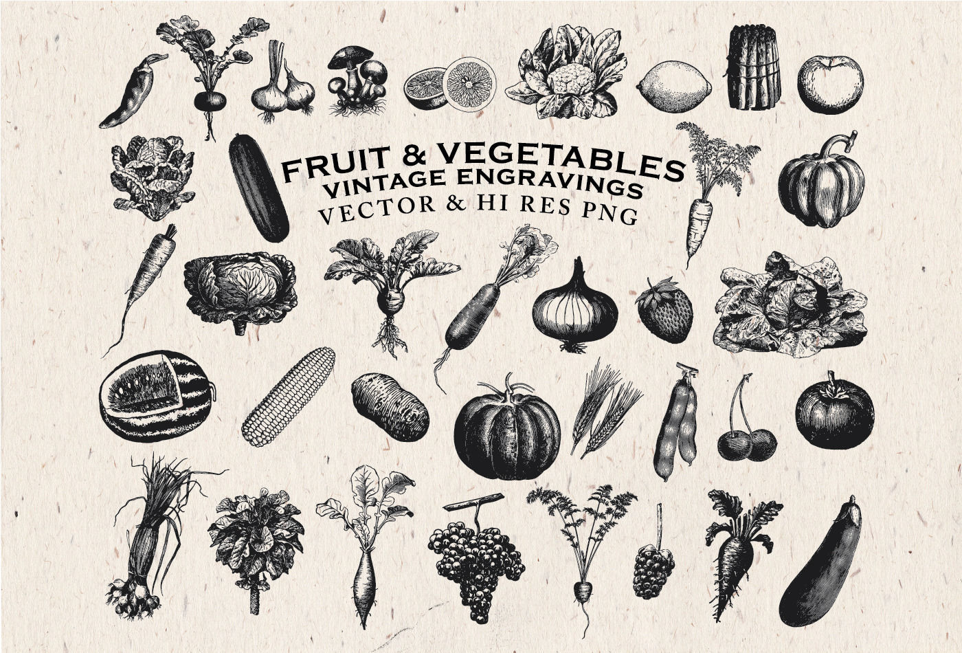 Fruit & Vegetables Engravings Vector, a Food Illustration by Seaquint ...