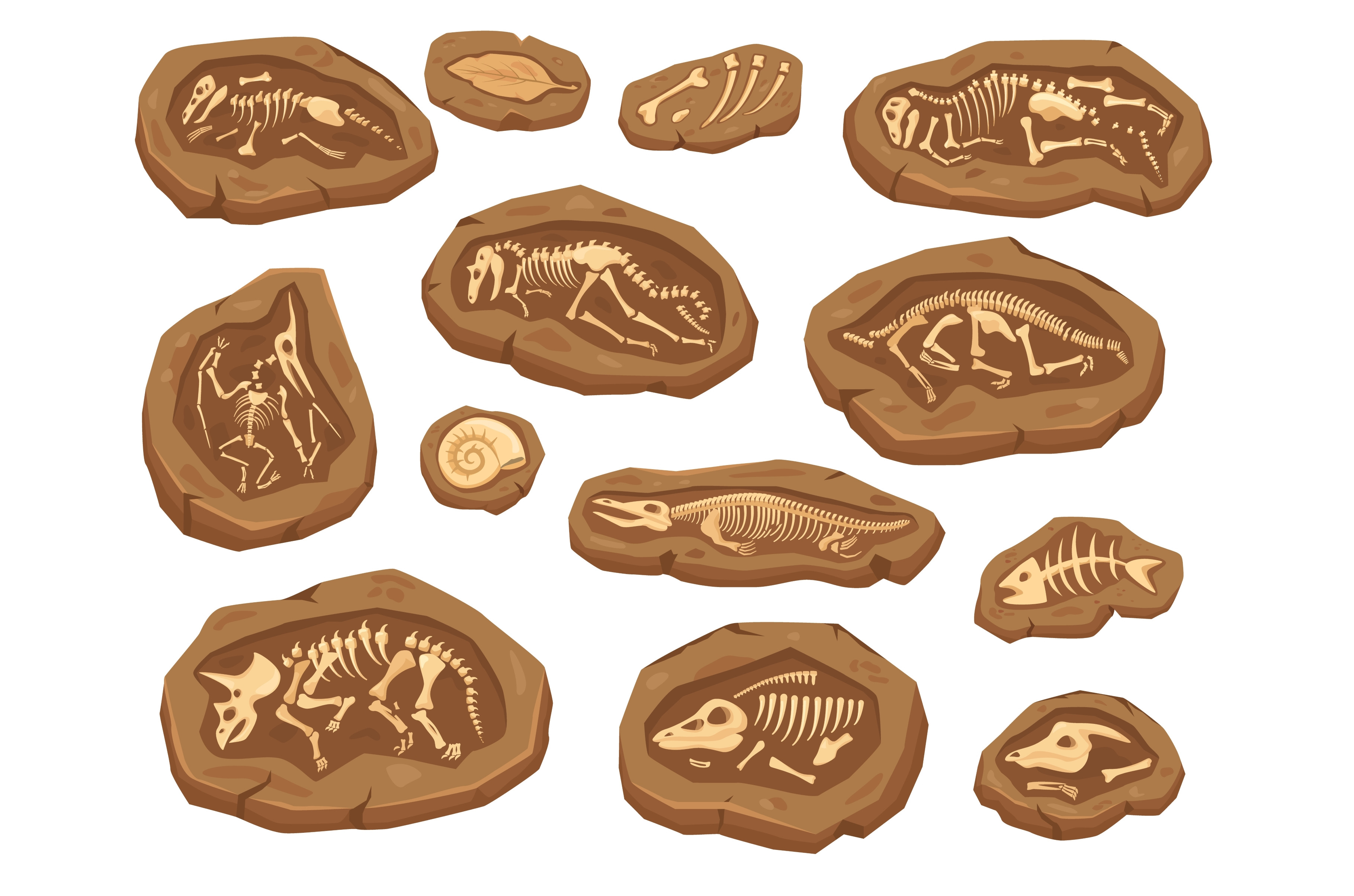 Cartoon dinosaurs fossils, ancient, an Animal Illustration by Frogella