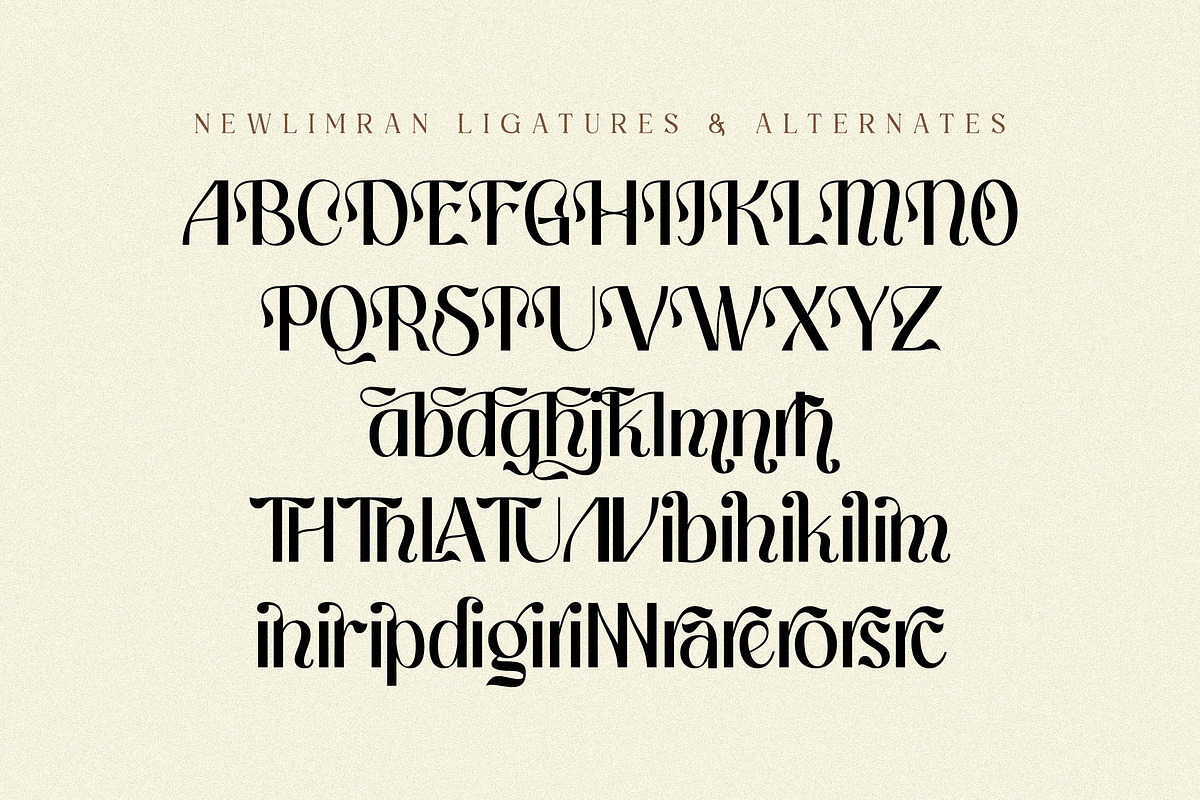 Newlimran Unique Display Font, a Serif Font by Storytype Studio