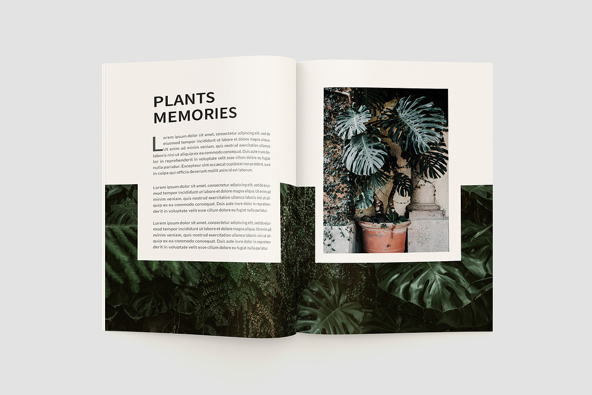 Plants Magazine, a Magazine Template by AQR Studio