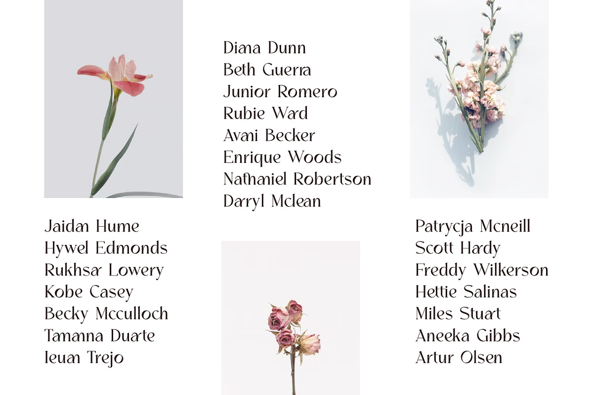 Moles - Serif Display Ligature Font, a Serif Font by Vesvocrea