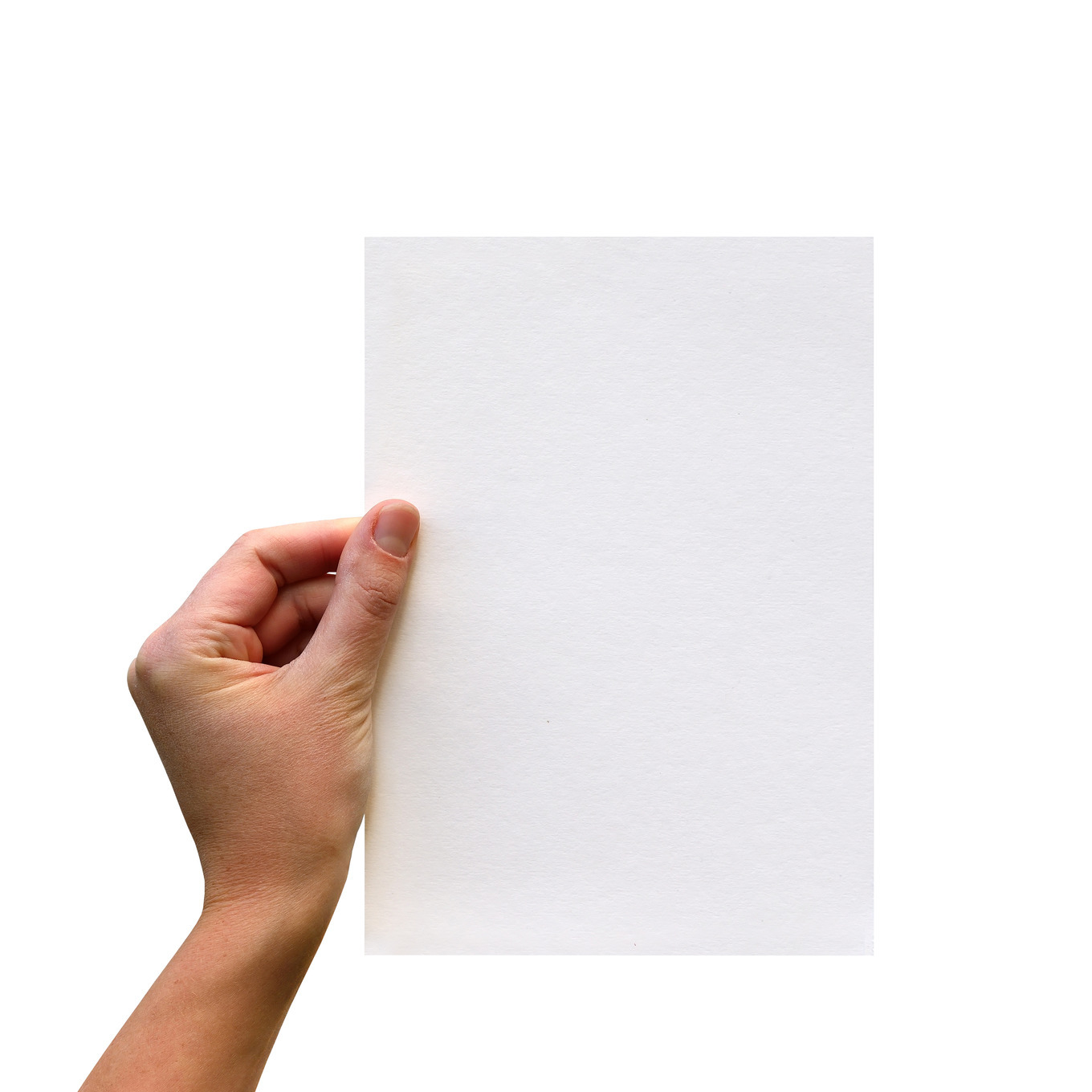 Hand holding paper blank featuring hand, isolated, and white | People ...