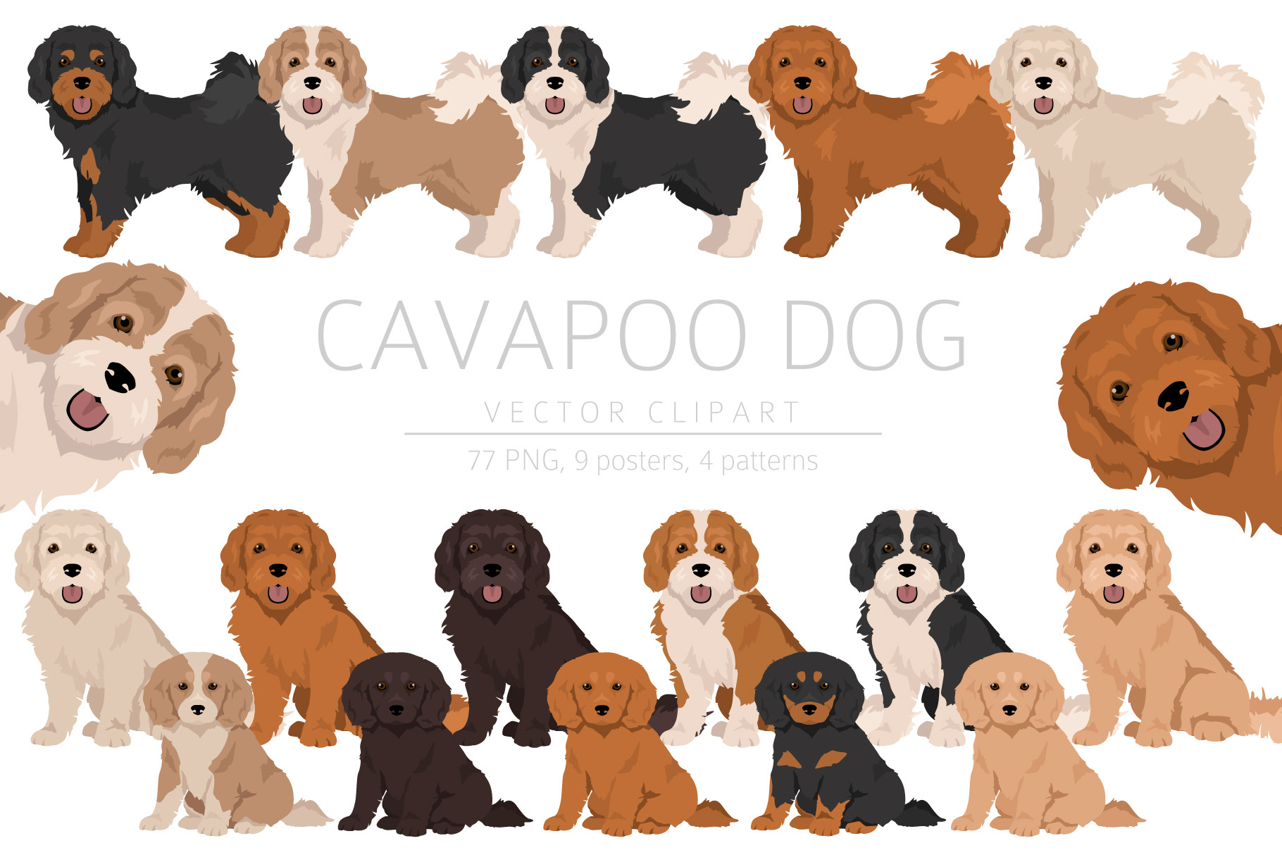 Cavapoo clipart