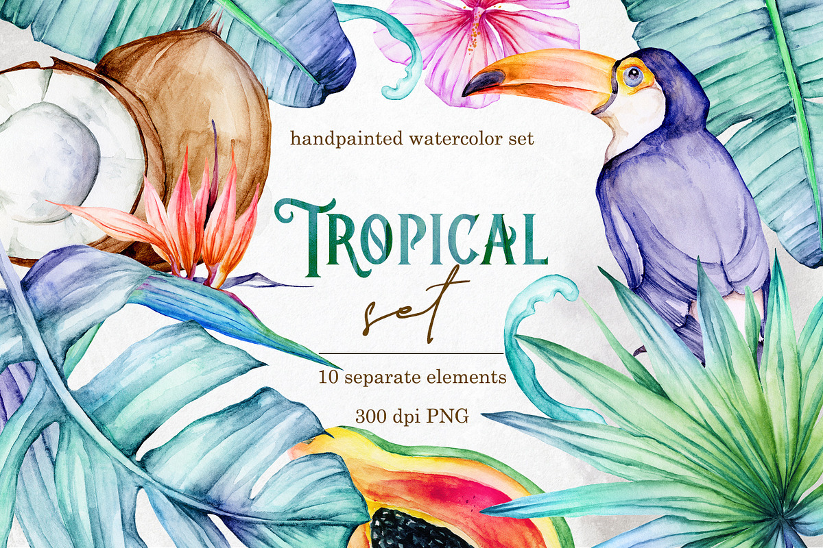 Tropical watercolor clip art, an Object Graphic by PixelJungle