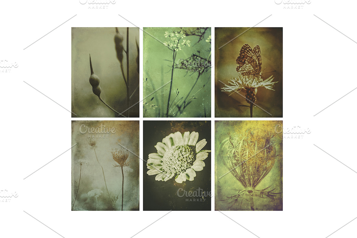 THE FADE ART COLLECTION, a Nature Photo by ISEEYOUPATTERN