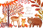 Autumn Forest Woodland clipart, an Animal Illustration by Sunflower Day ...