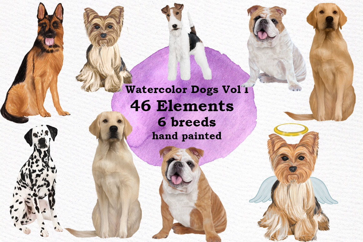 Dogs Clipart Dog breeds Pet clipart, an Illustration by LeCoqDesign