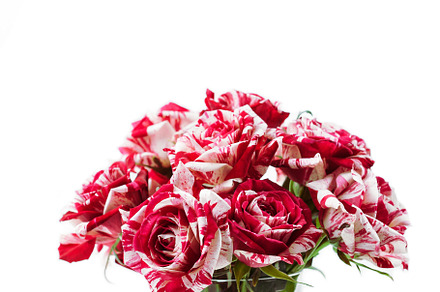 Tiger stripe roses featuring anniversary, arrangement, and attractive ...