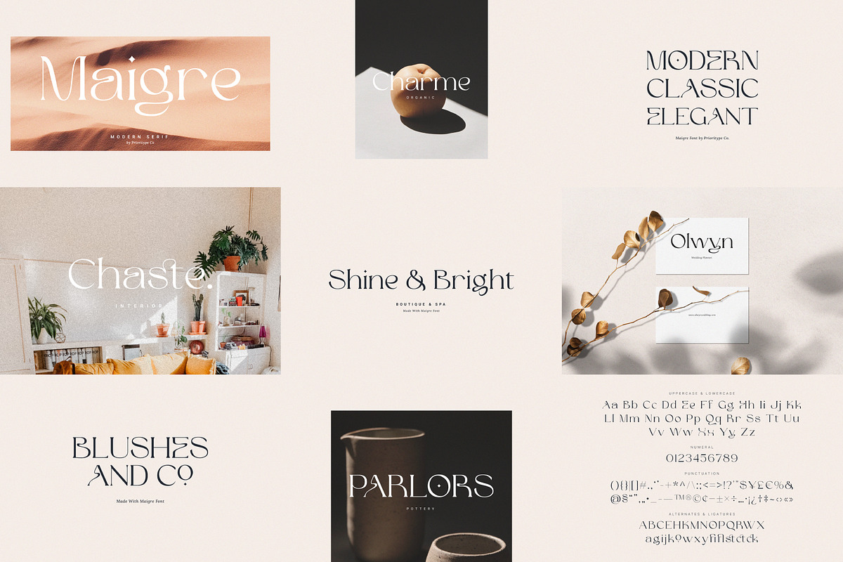 The Modern & Unique Font Bundle #02, a Serif Font by Prioritype Co
