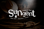 Sungent, a Font by Newface