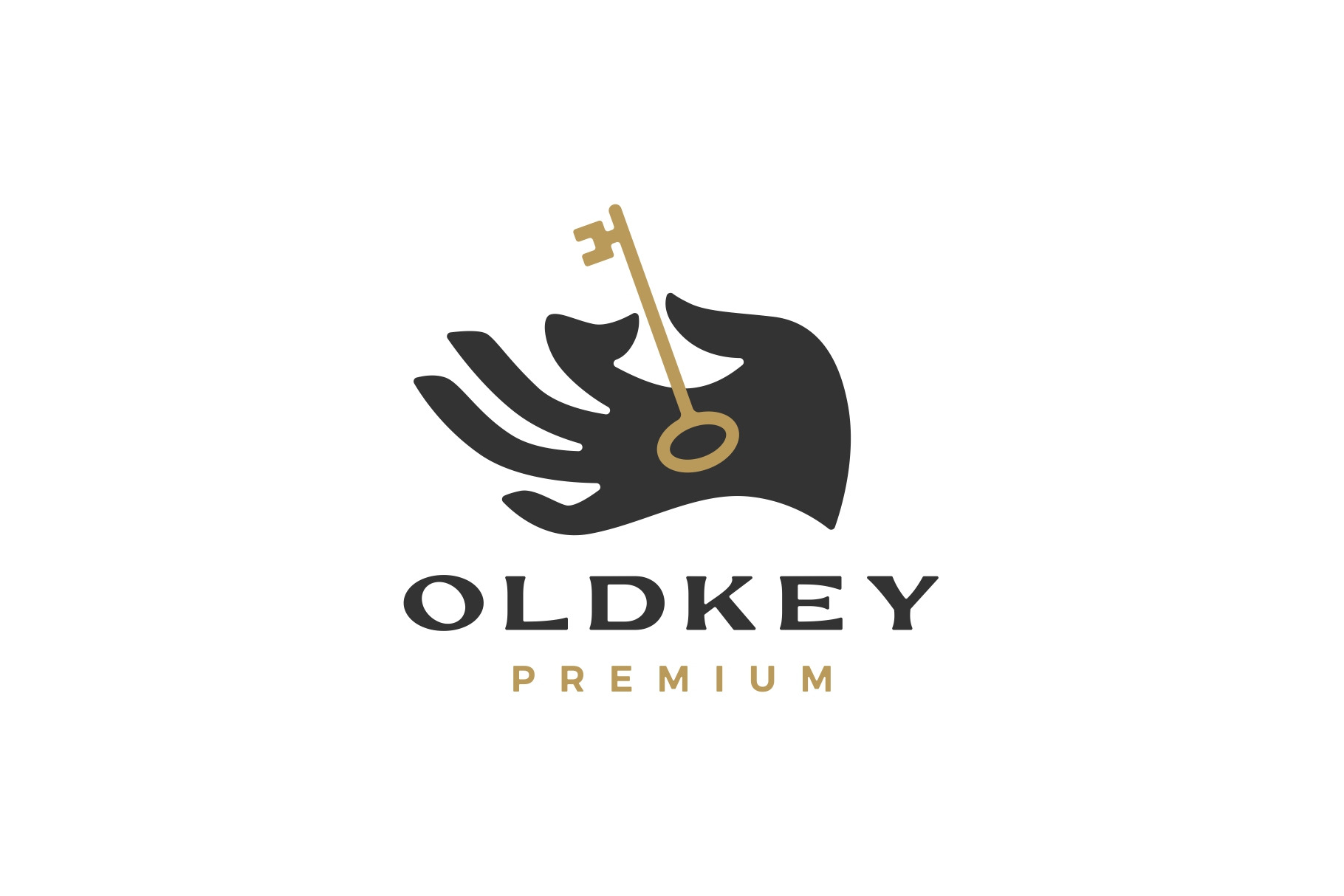 hand hold holding old key logo, a Branding & Logo Template by VSTRD ...