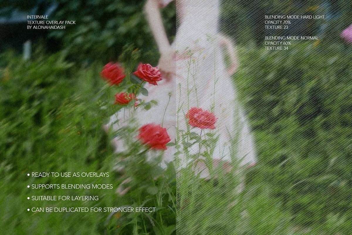 Intervale - Texture Overlay Pack, a Texture Graphic by alonahaidash