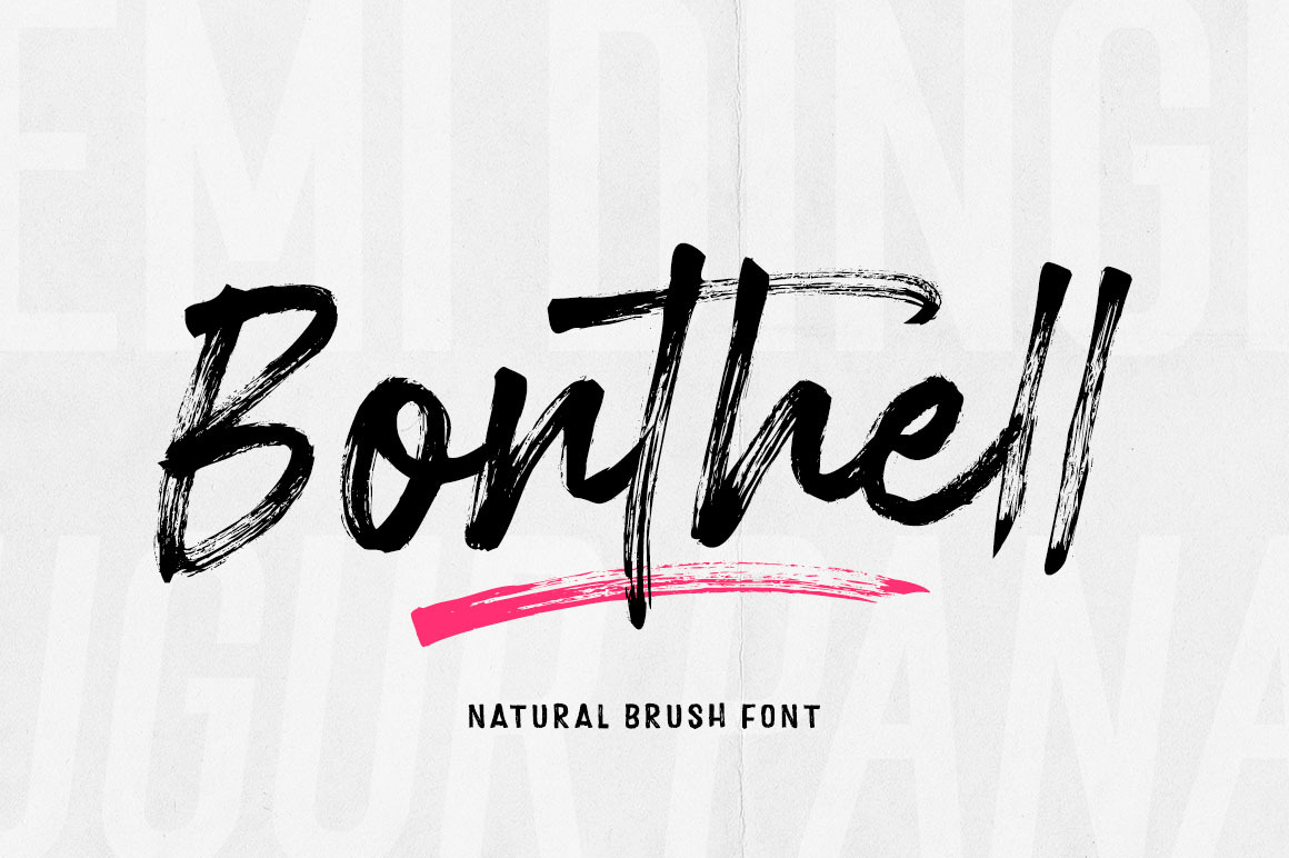 Bonthell, a Script Font by Dhan Studio