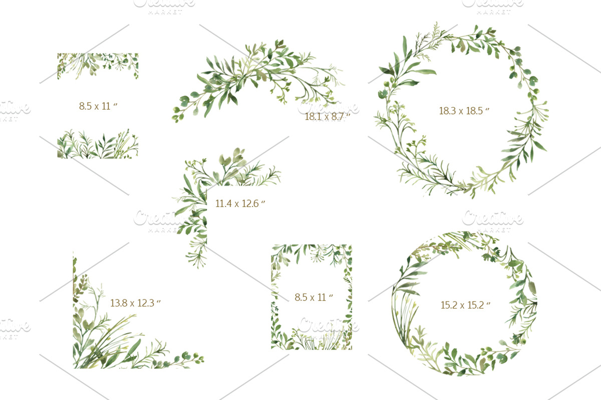 Watercolor Greenery Herbs Leaves PNG, an Illustration by GraphicsDish