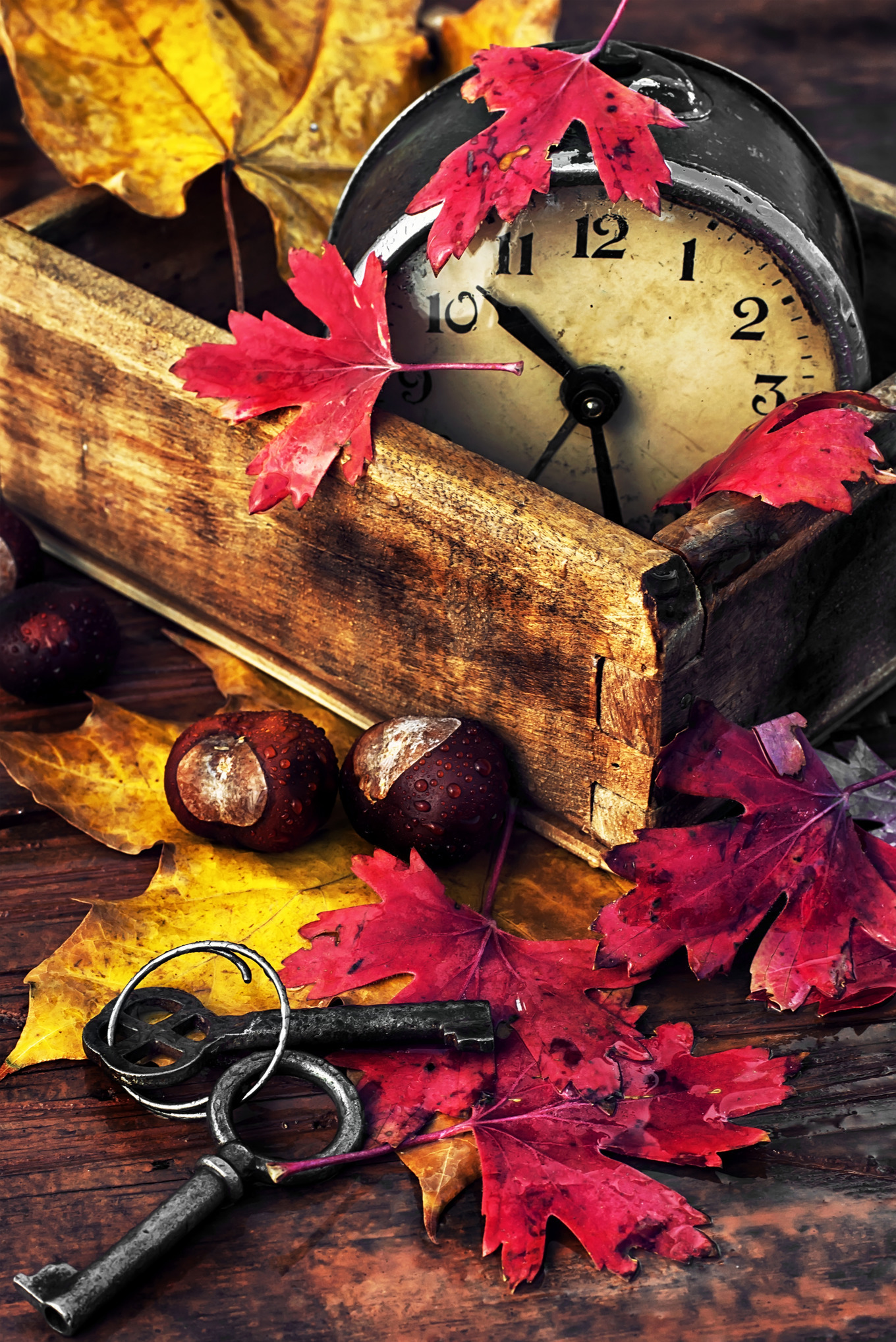 October fall leaves containing time, autumn, and clock, a Nature Photo ...