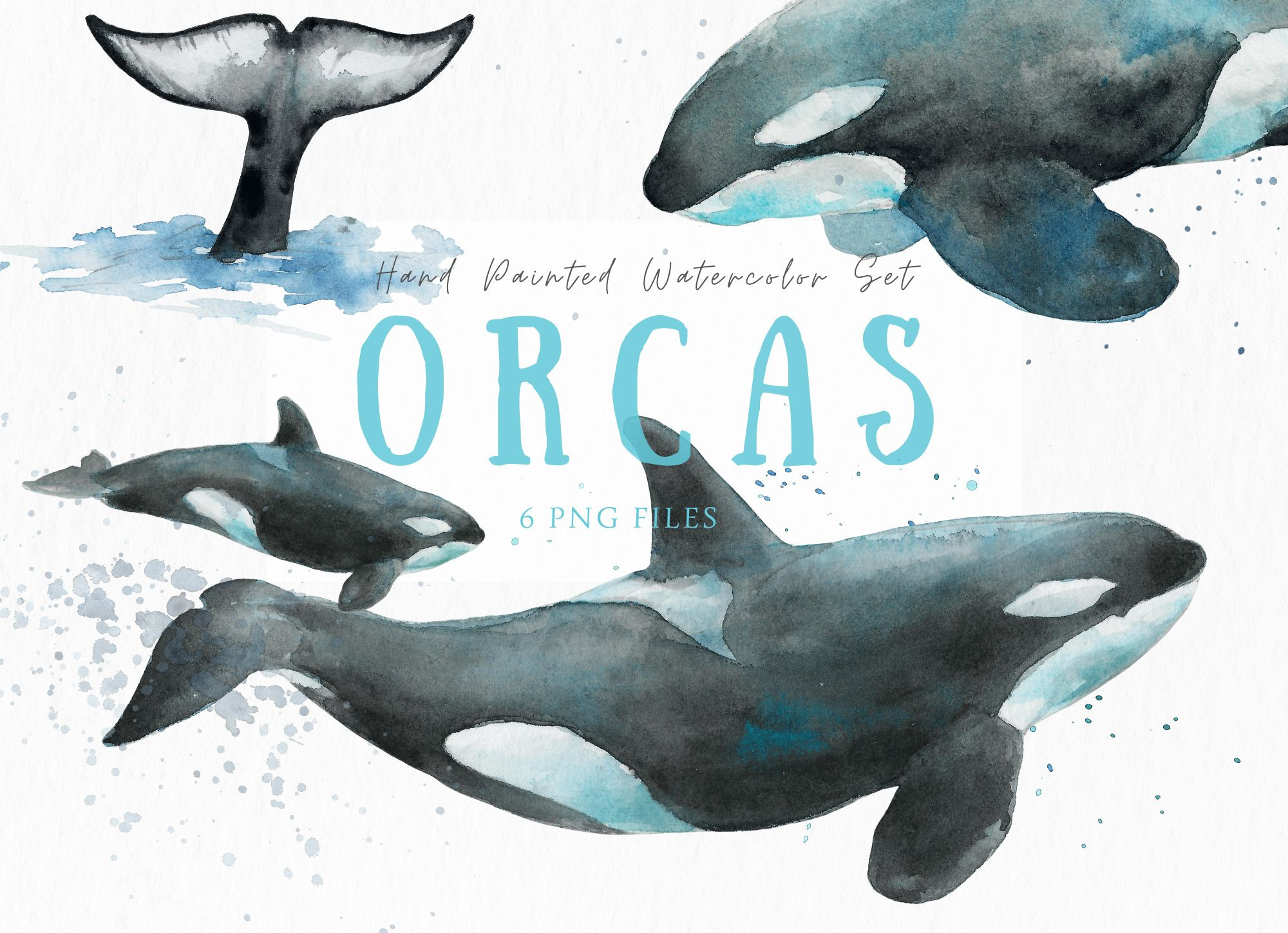 watercolor orca whale clipart set