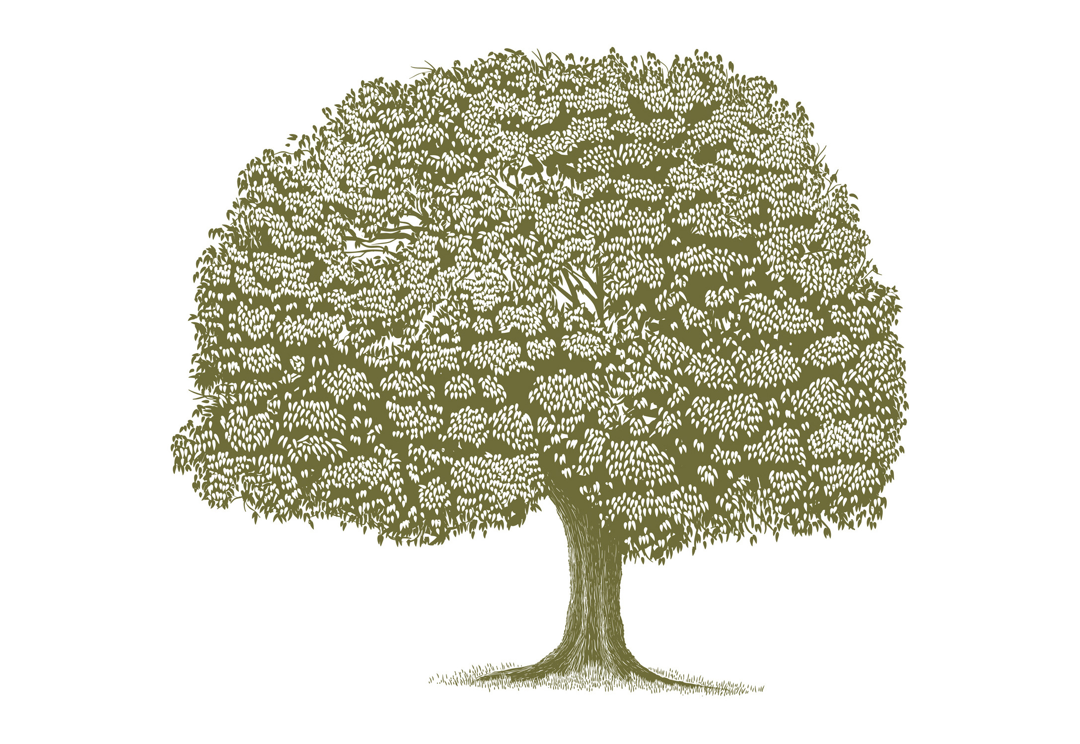 Woodcut Tree, an Illustration by blue67sign