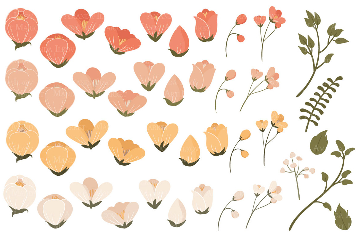 Peach Floral Vectors & Clipart, an Illustration by Amanda Ilkov