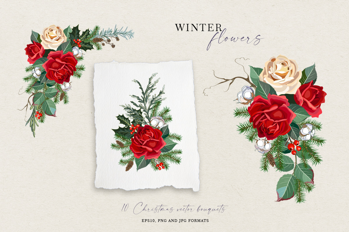 Winter flowers - Christmas clipart, a Decorative Illustration by Vasmila