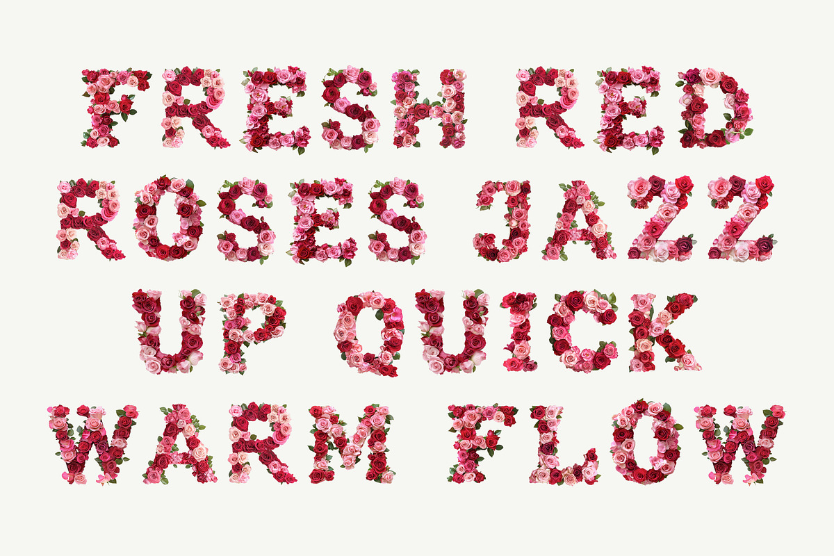 Roses 3D Font, a Font by Loudoun Design Co.