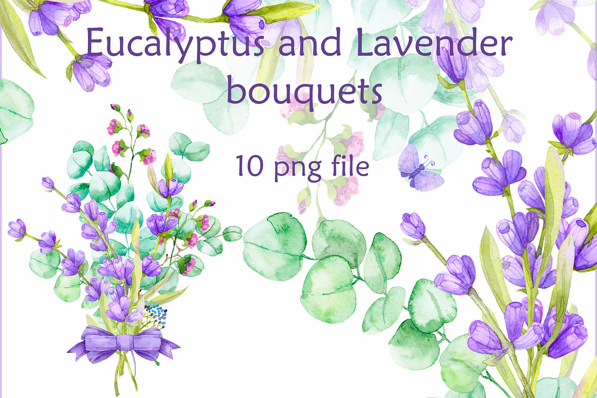 Eucalyptus and Lavender bouquets, an Illustration by EshaStudio