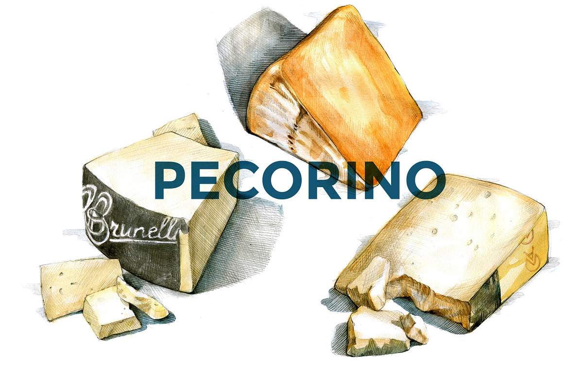 CHEESE WATERCOLOR ILLUSTRATION SET, a Food Illustration by wedraw